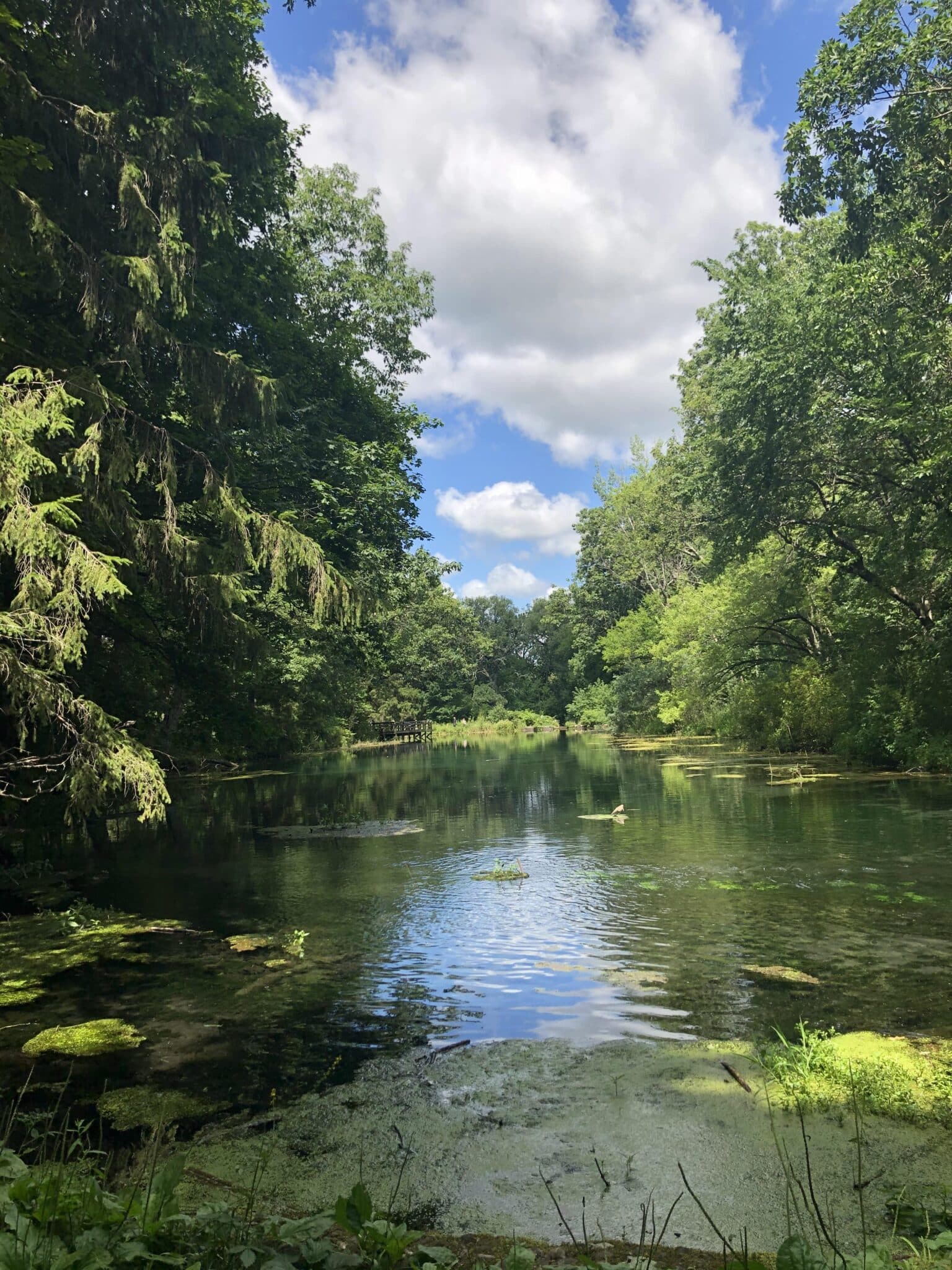 Paradise Springs: An Enchanting Hidden Gem in Wisconsin - Milwaukee ...