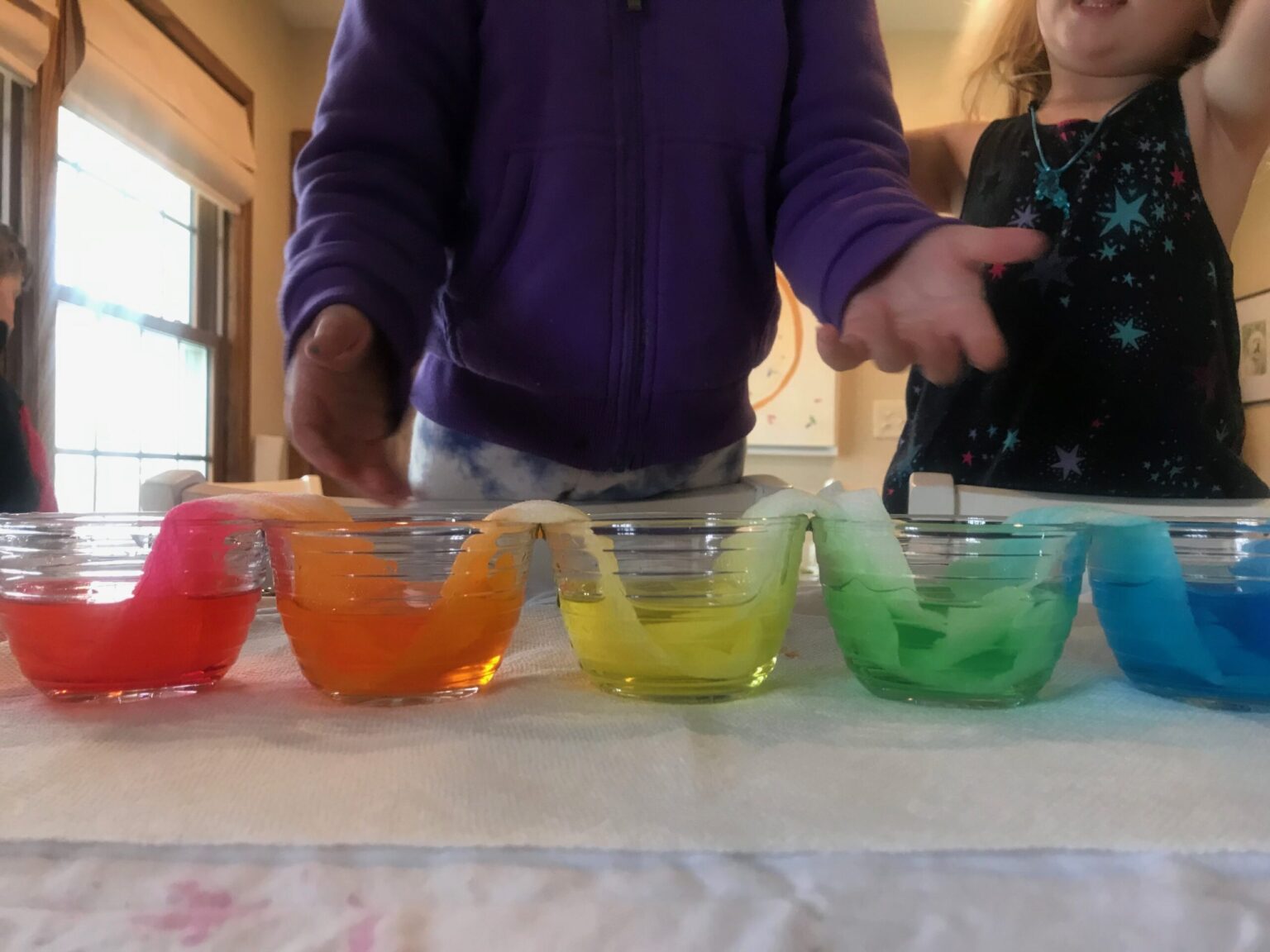 Traveling Rainbows: An Easy Science Experiment To Do at Home ...