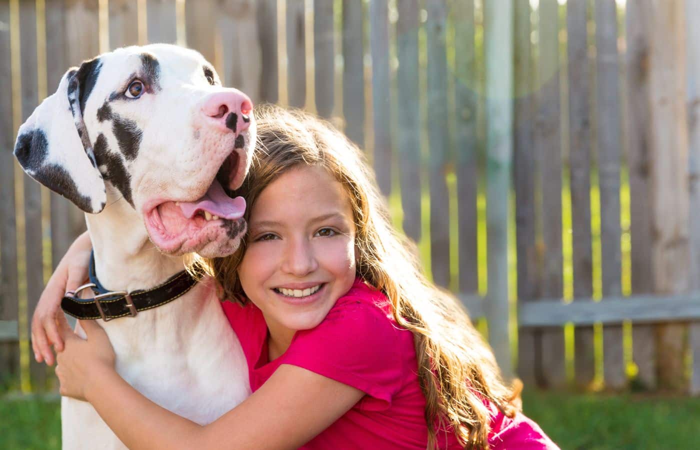 100 Unique Girl Dog Names For Your New Pup (2025) - Milwaukee With Kids