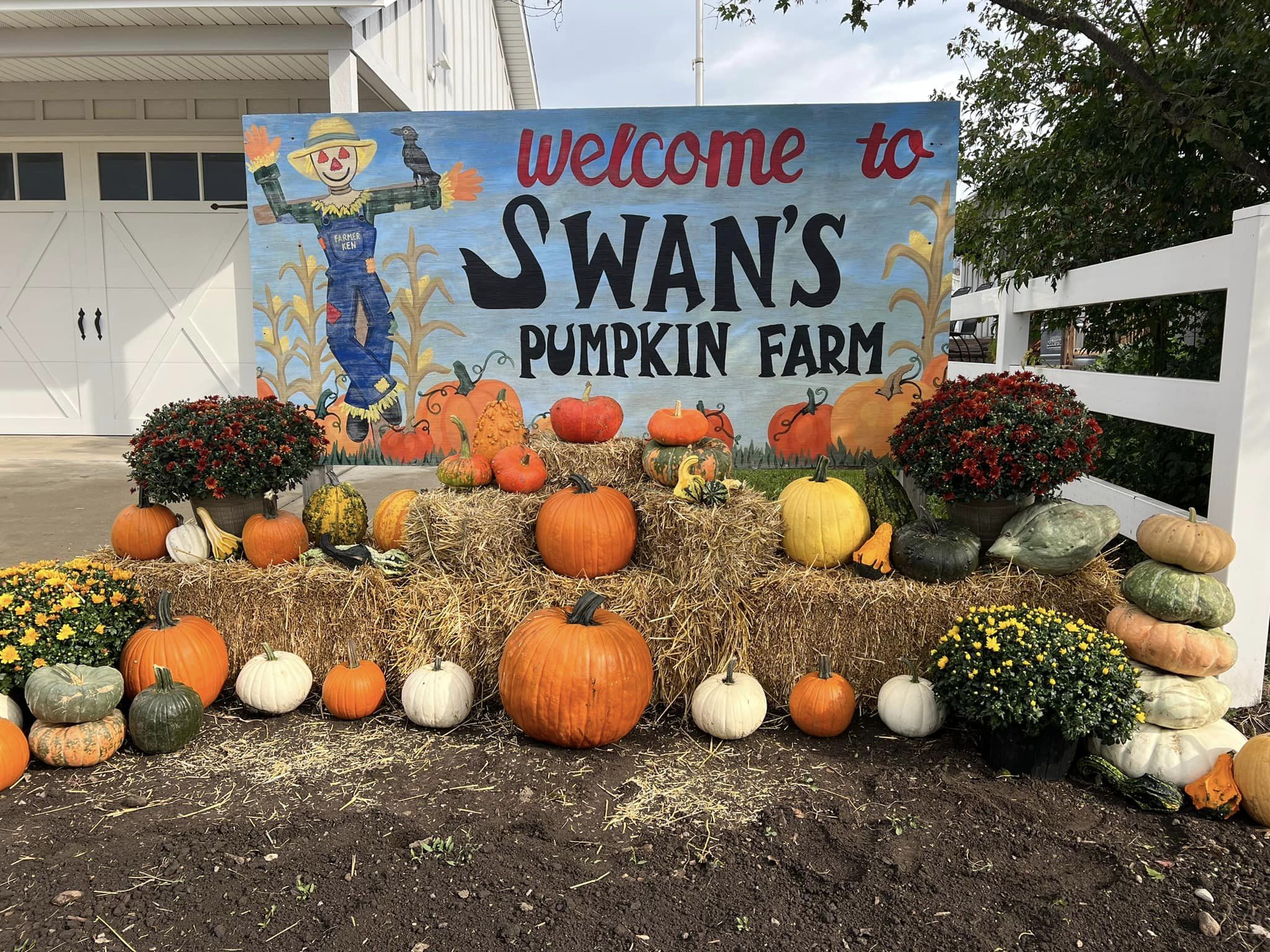 Swan's Pumpkin Farm: Quirky Corn City, Ponies, and More - Milwaukee ...