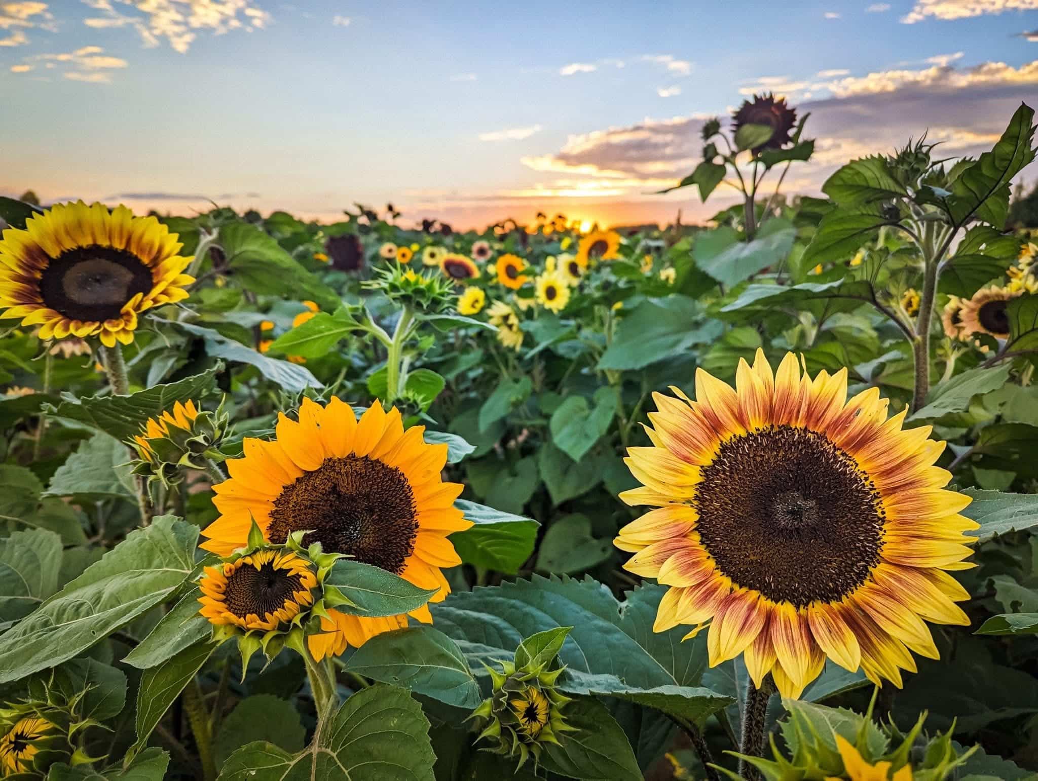 100 Best Mystical Baby Names For Your Child (2025) - Milwaukee With Kids