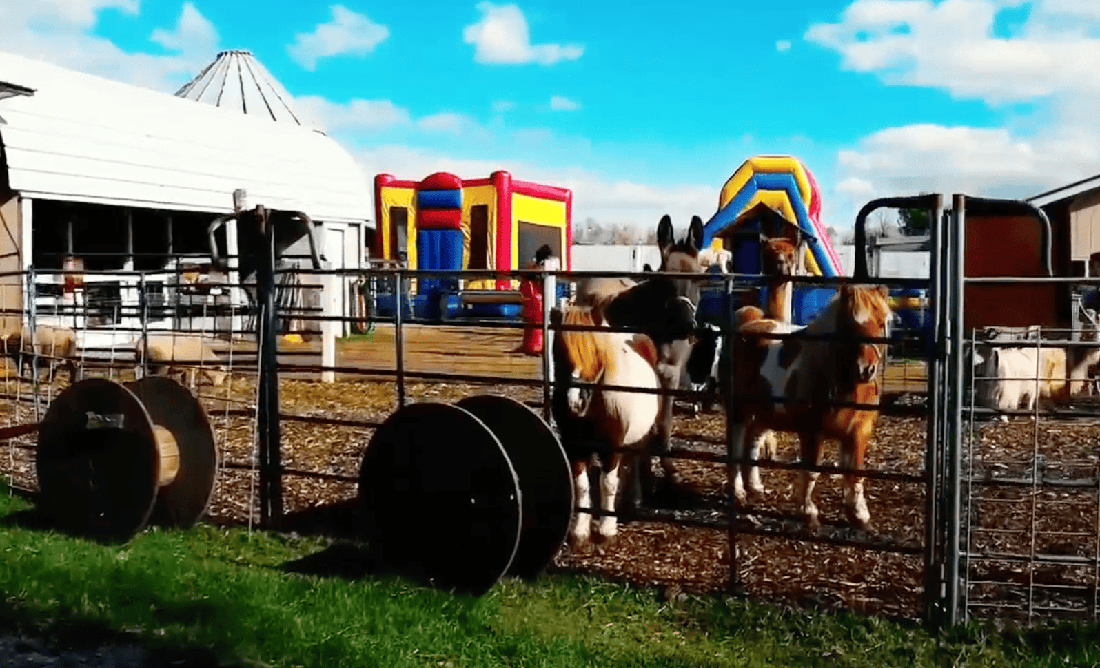 Cedarburg Creek Farm: Free Hay Wagon Rides and Affordable Family Fun ...