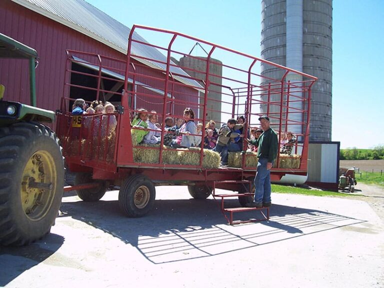 Cozy Nook Farm: Authentic Farm Experience With Cows, Tours, & Fall Fun ...