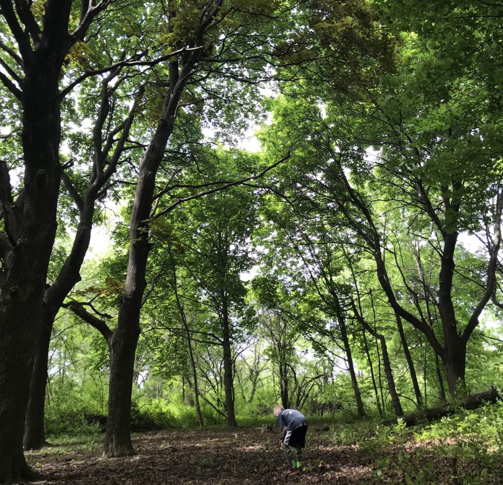 Discover Havenwoods State Forest: Milwaukee's Hidden Gem - Milwaukee ...