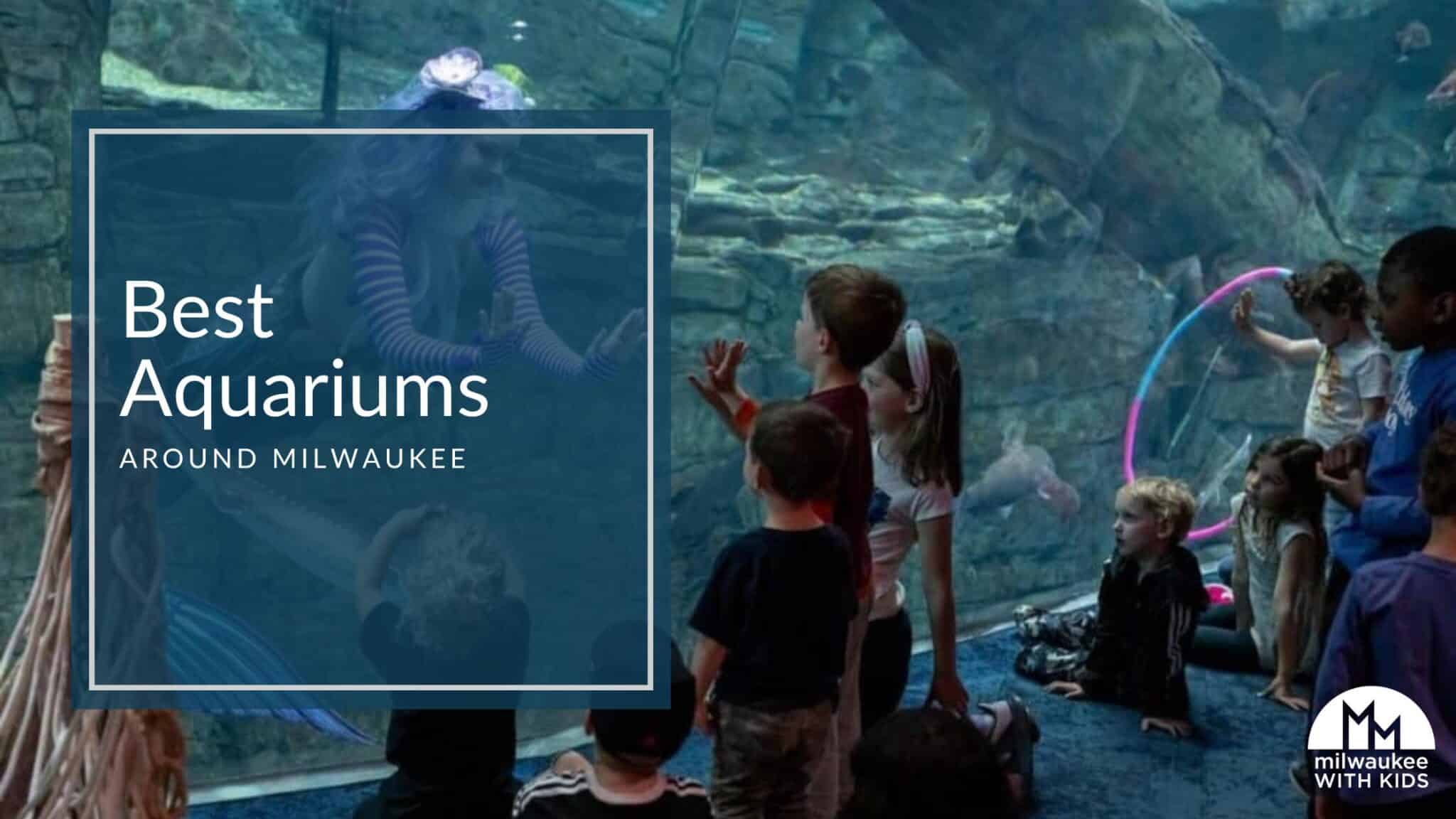 Is There an Aquarium in Milwaukee? 5 Best Aquariums Near Milwaukee ...