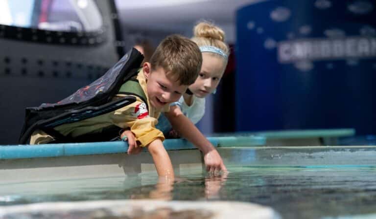 Exploring the Reiman Aquarium at Discovery World: A Guide for Families ...