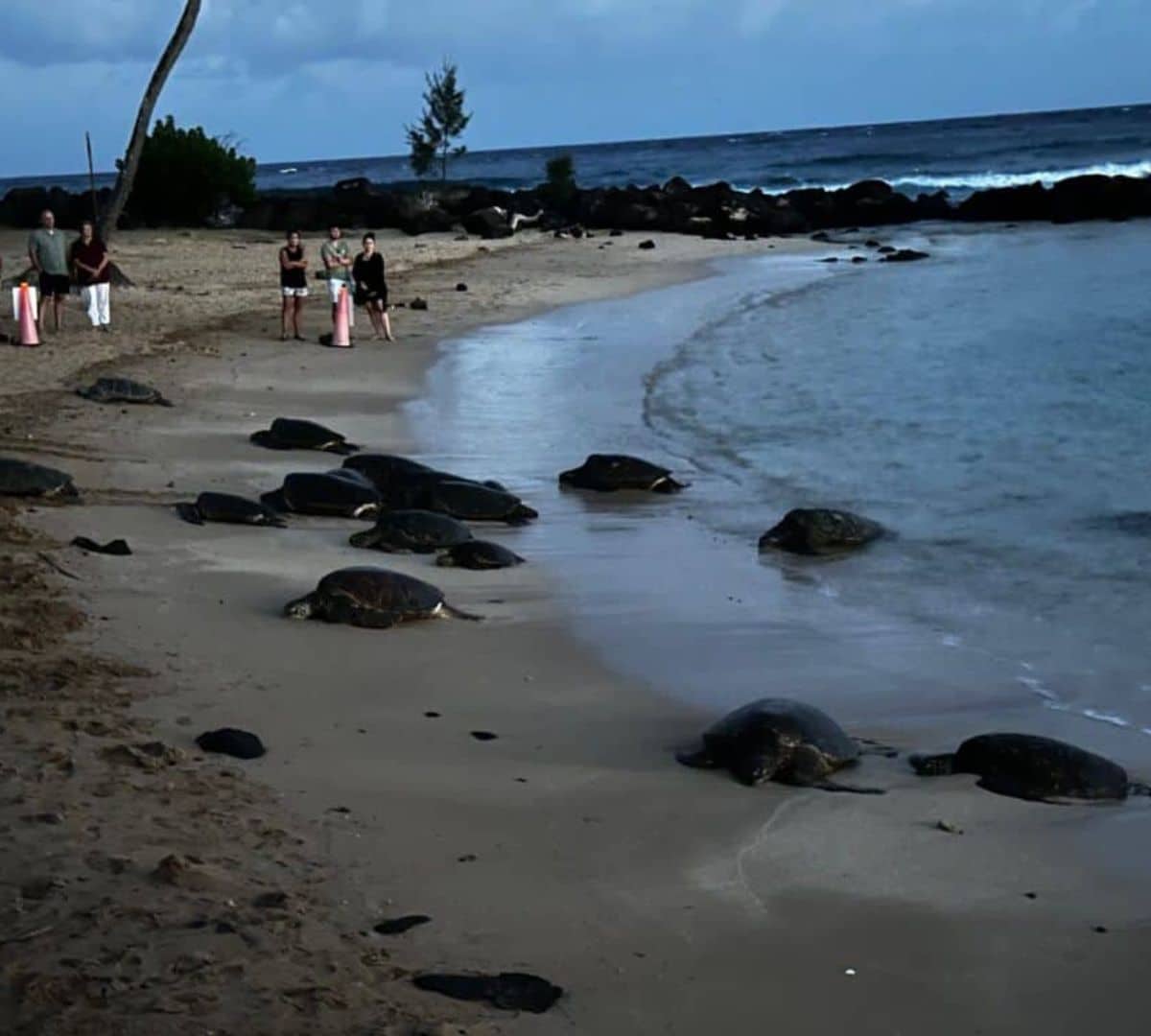 Family Activities in Kauai: 25 Best Things To Do With Kids (2025 Guide ...