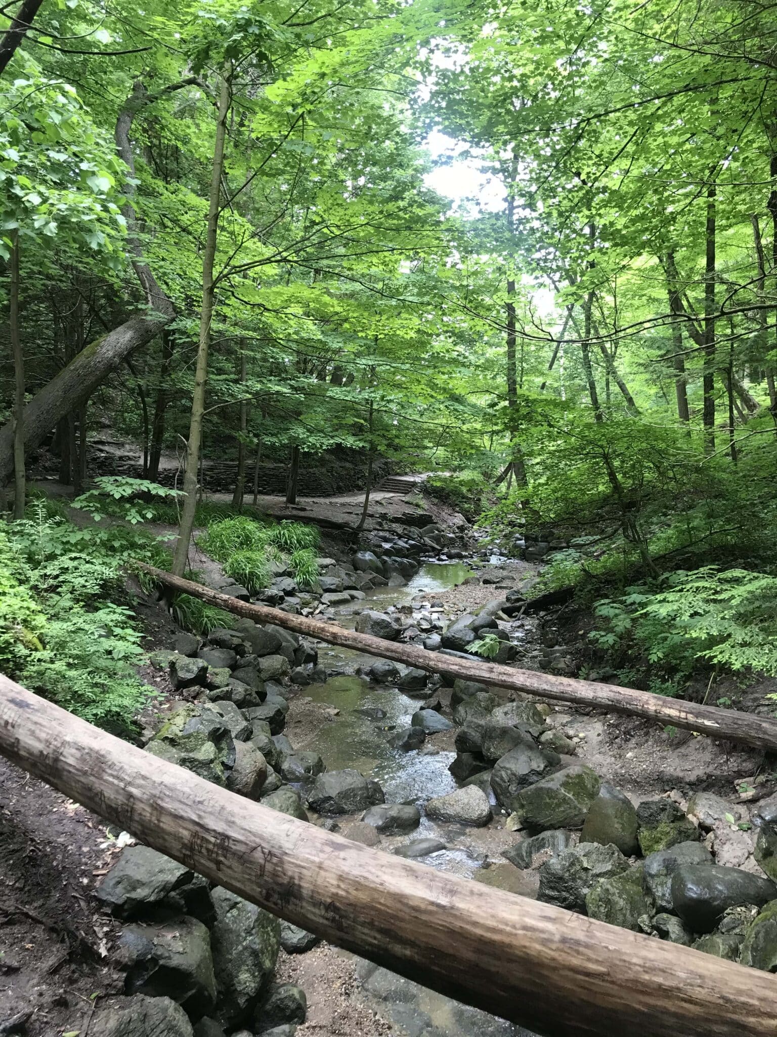 Seven Bridges Trail with Kids: A Magical Day in Grant Park - Milwaukee ...