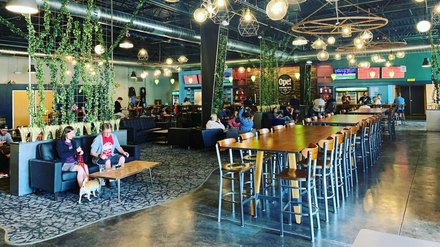 Griswold Family Christmas Trees Opens at Ope! Brewing in West Allis ...