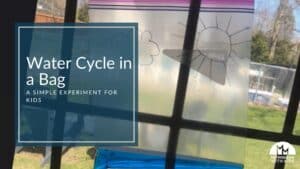 'Water Cycle In A Bag': Simple Directions & How-To Instructions ...