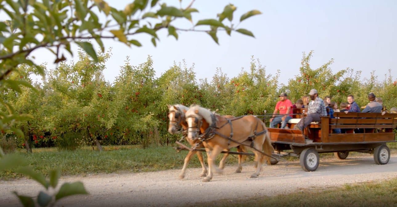 10 Best Hayrides Near Milwaukee (2024) – Family-Friendly Fall Fun